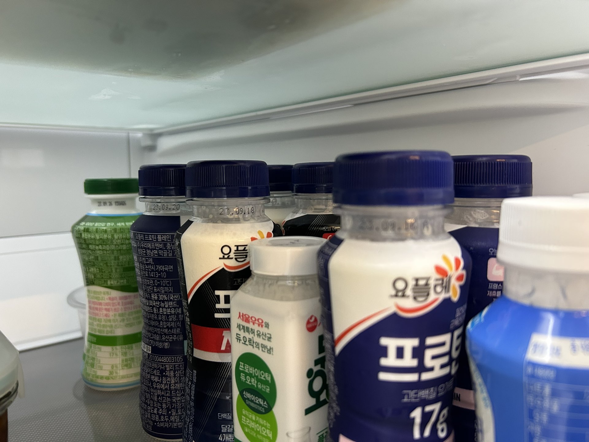 [1+1] 빙그레)요플레프로틴플레인210ml | 배민스토어